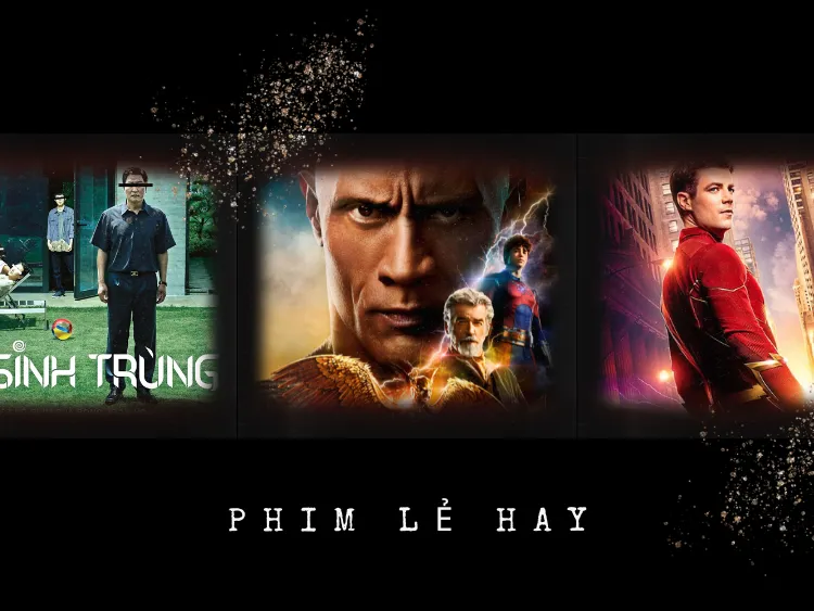 TOP 35+ Bộ phim lẻ hay đỉnh cao được tìm kiếm nhiều nhất 2024