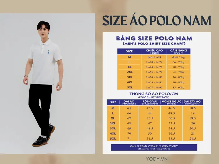 Bảng Size Áo Polo Nam - Tư Vấn Chọn Size Chuẩn Không Cần Chỉnh
