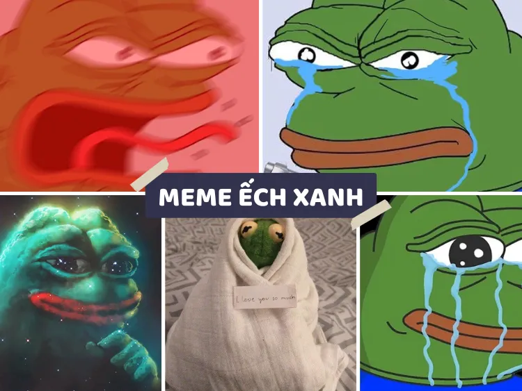 50+ Ảnh Meme Ếch Xanh Pepe The Frog CƯỜI NẮC NẺ