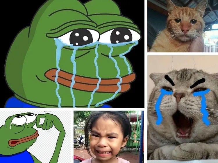 Lưu ngay TOP 99+ meme buồn THẤU TÂM CAN meme buồn cute