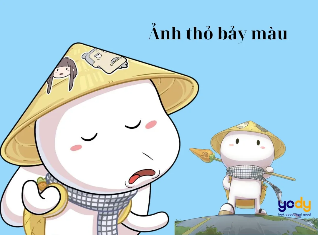 1001+ Hình ảnh Thỏ bảy màu hài hước giải trí đỉnh cao