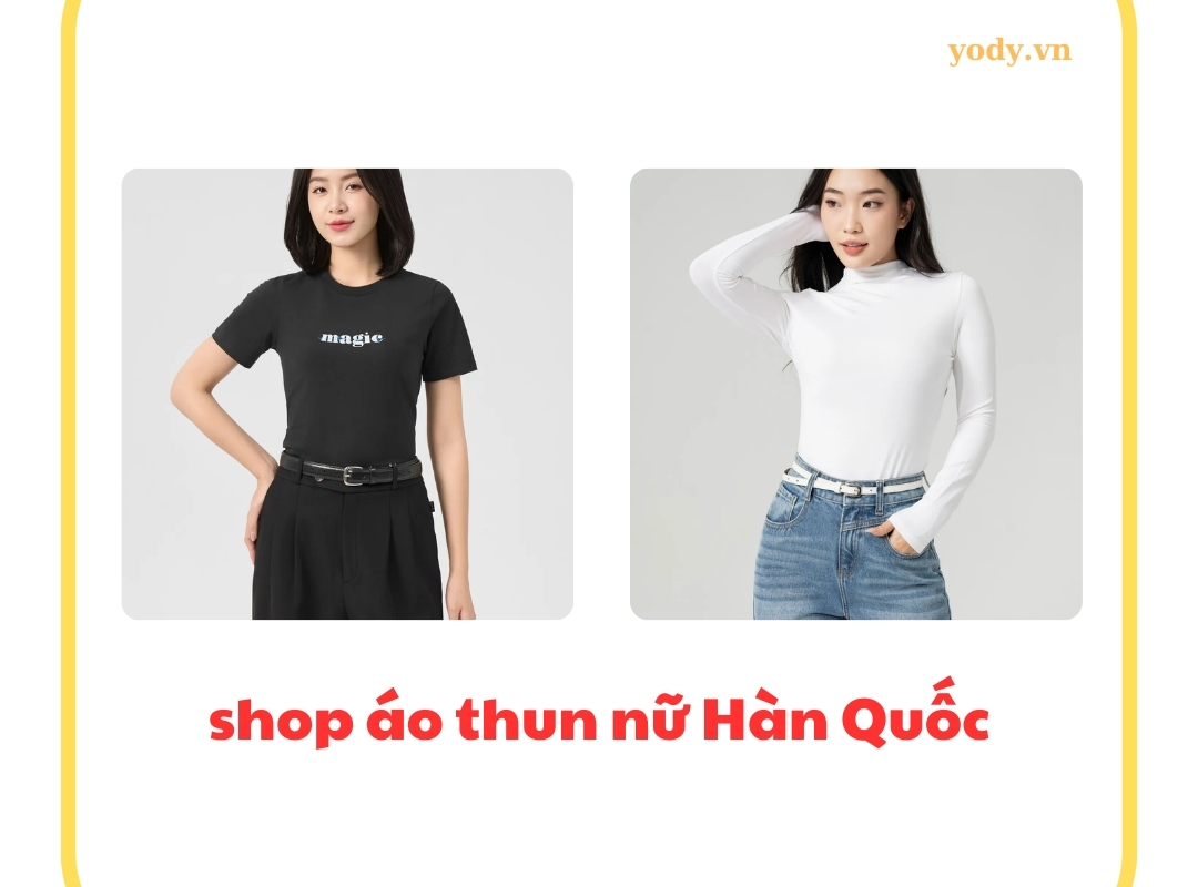 Top 5 shop áo thun nữ Hàn Quốc đẹp style tinh tế nhẹ nhàng | Yody